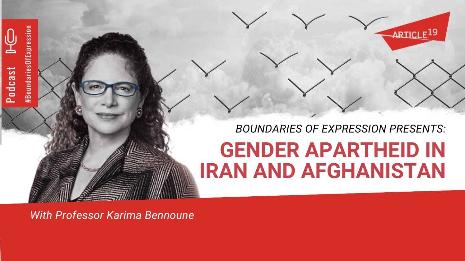 From Afghanistan to Iran: Defining Gender Apartheid - SES Eşitlik ...